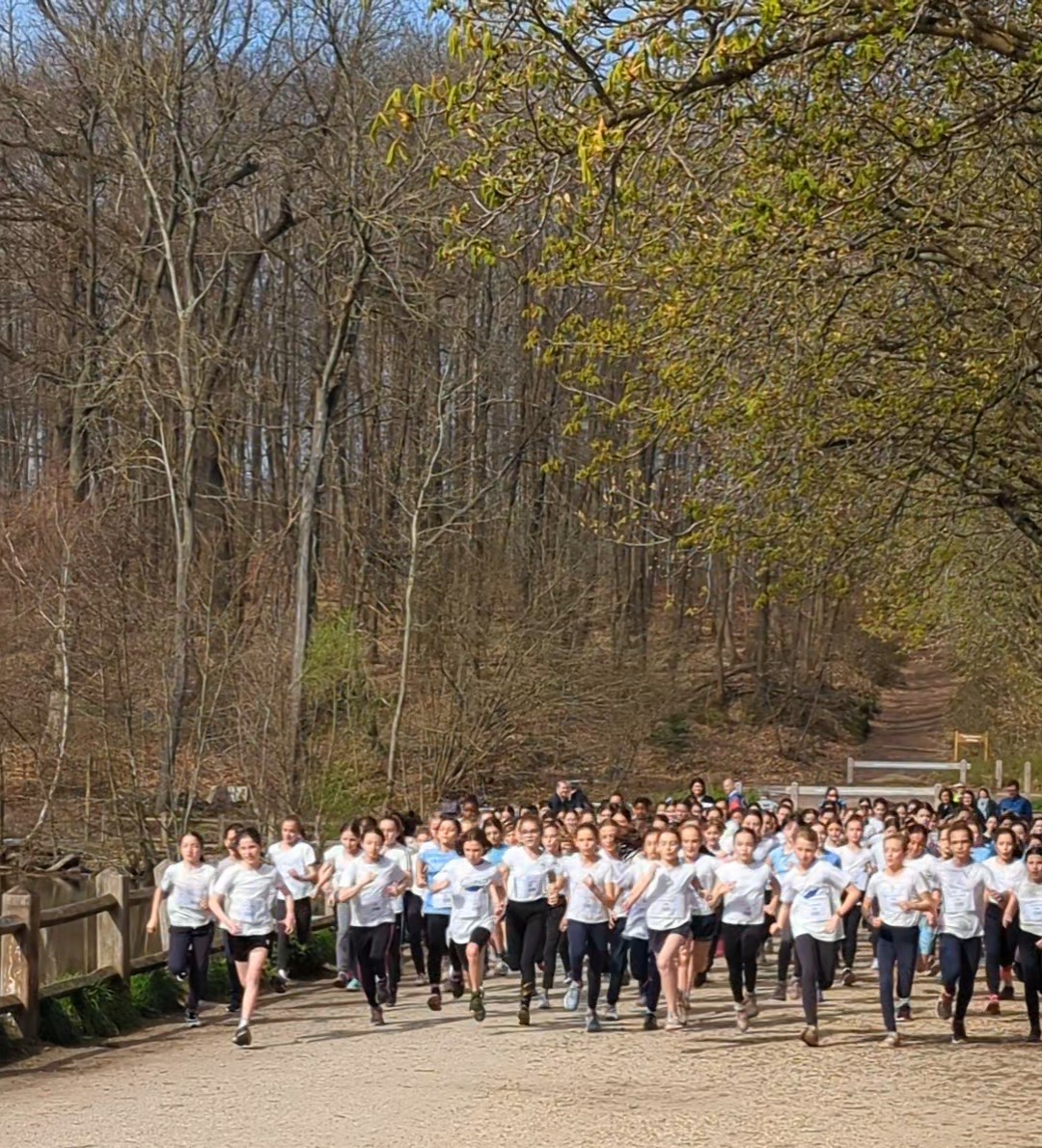 Collège - Centre Madeleine Daniélou